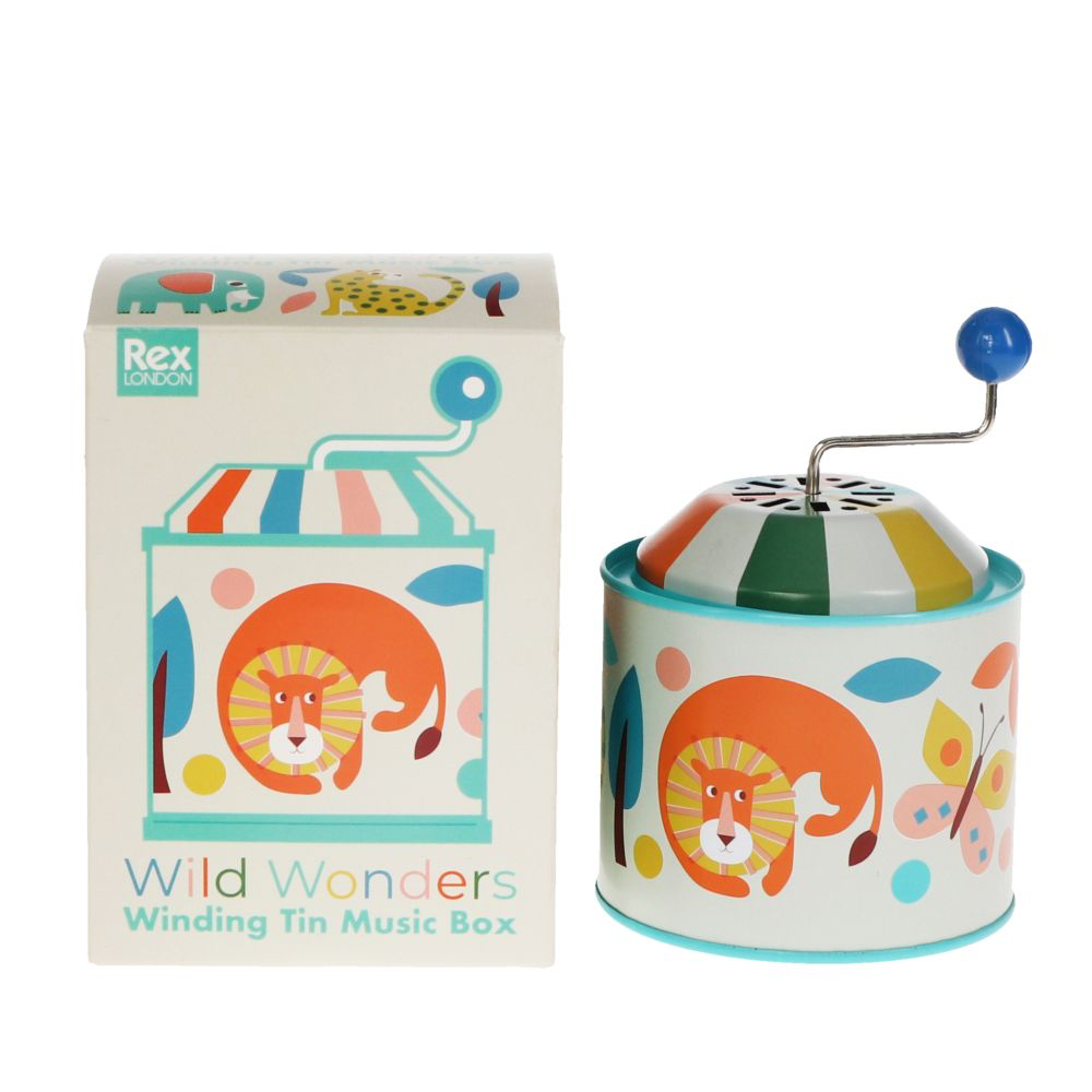 Winding Tin Music Box | Curious Kids Toy Lab